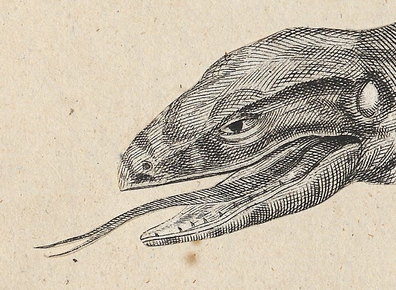 Hinduism in the Straits - Straits Monitor