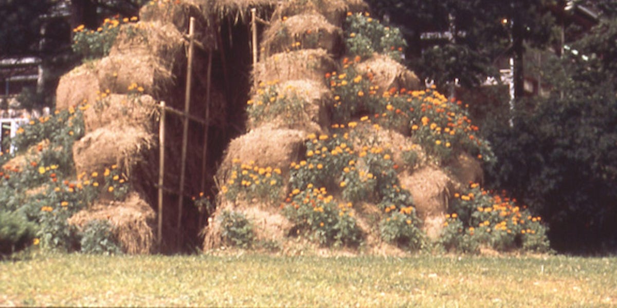 The Seedbed Project - by Craig Pleasants