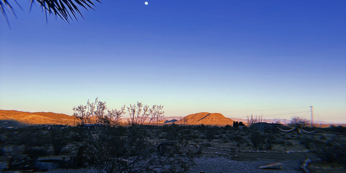 I Ain’t No Prodigal Son - by Sam Hopwood - The Quiet Part