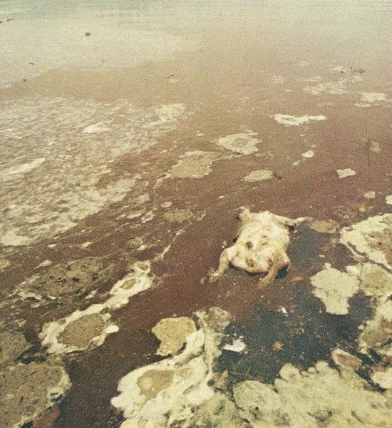 Where We've Been, Where We're Going