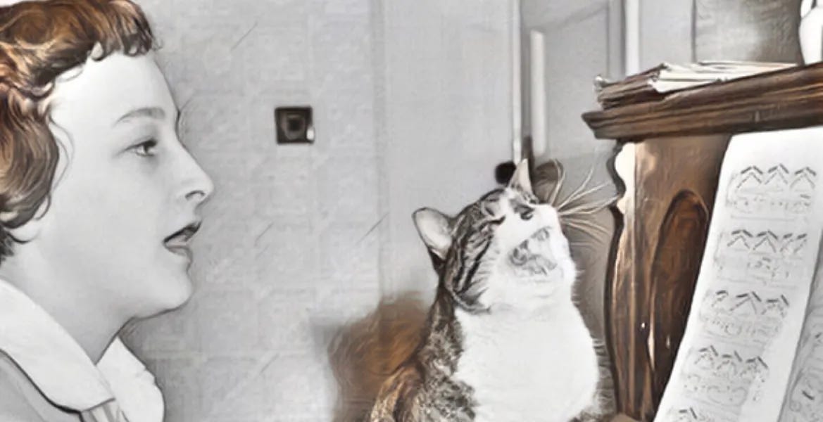 Winners of the 15-Word "Cat Lessons Contest" are in!