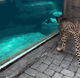 Comments - Woke Science! Tabs, Wed., March 5, 2025