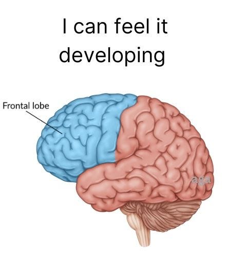 Frontal Lobe Development Loading - by Chiayenne Wolfe