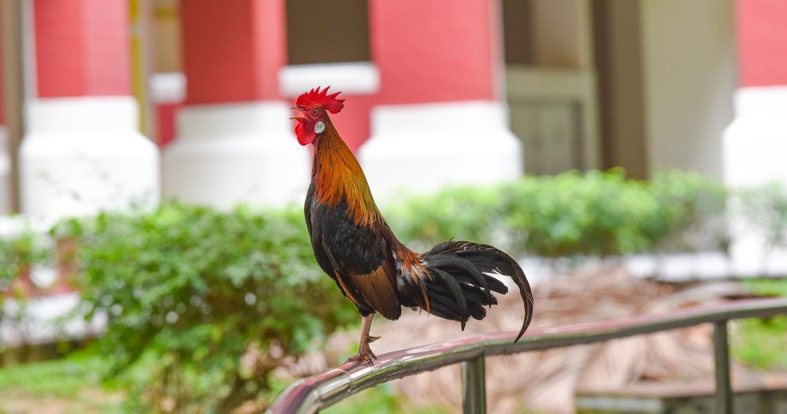 Beliefs - by Amit Ghosh - Conscious Reboot