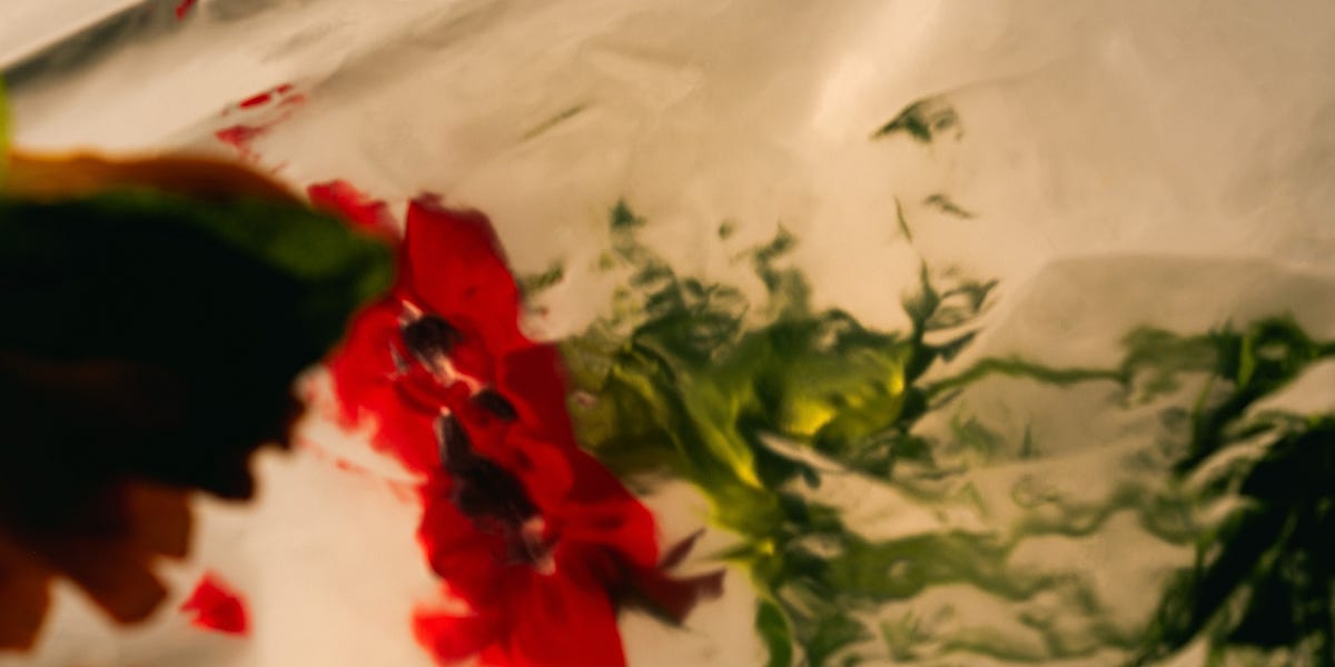 The Joy Algorithm - by Sonia - Mind the Gap