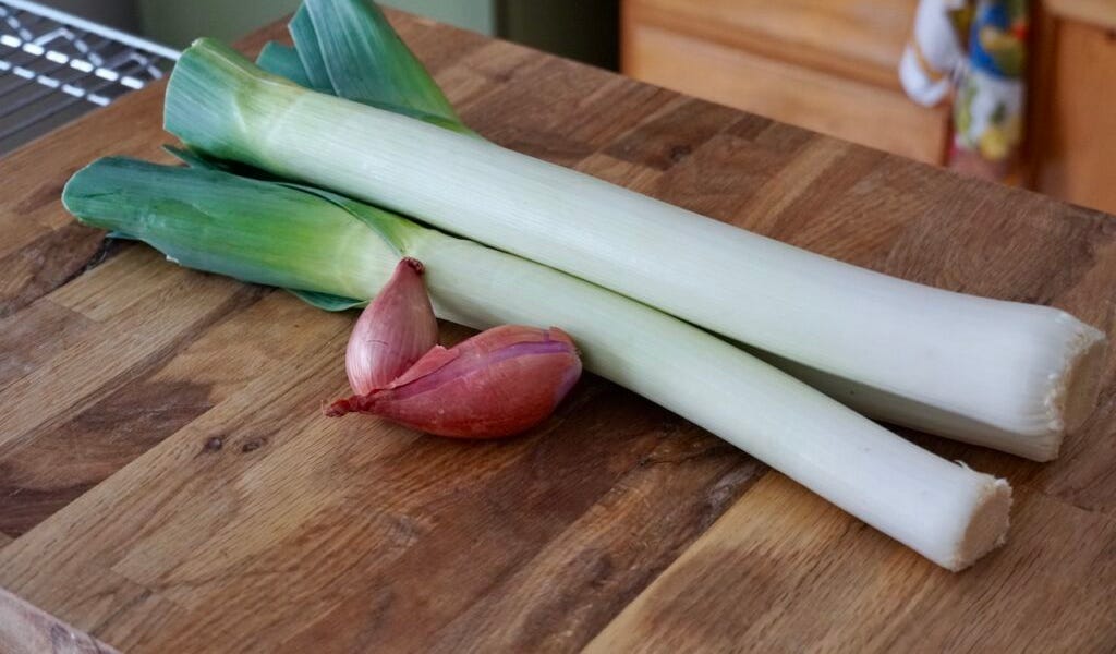 GARLIC, LEEKS, SHALLOTS, AND THE OTHER EATABLE ALLIUMS
