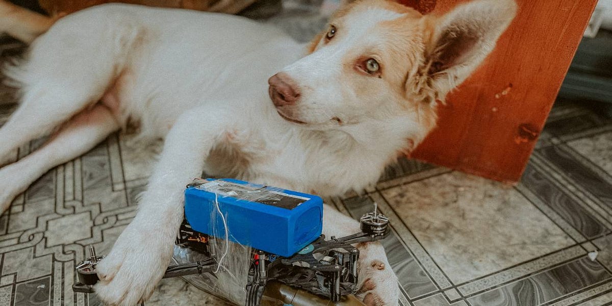 Ukraine—beginning of the end? - Ross Cunha