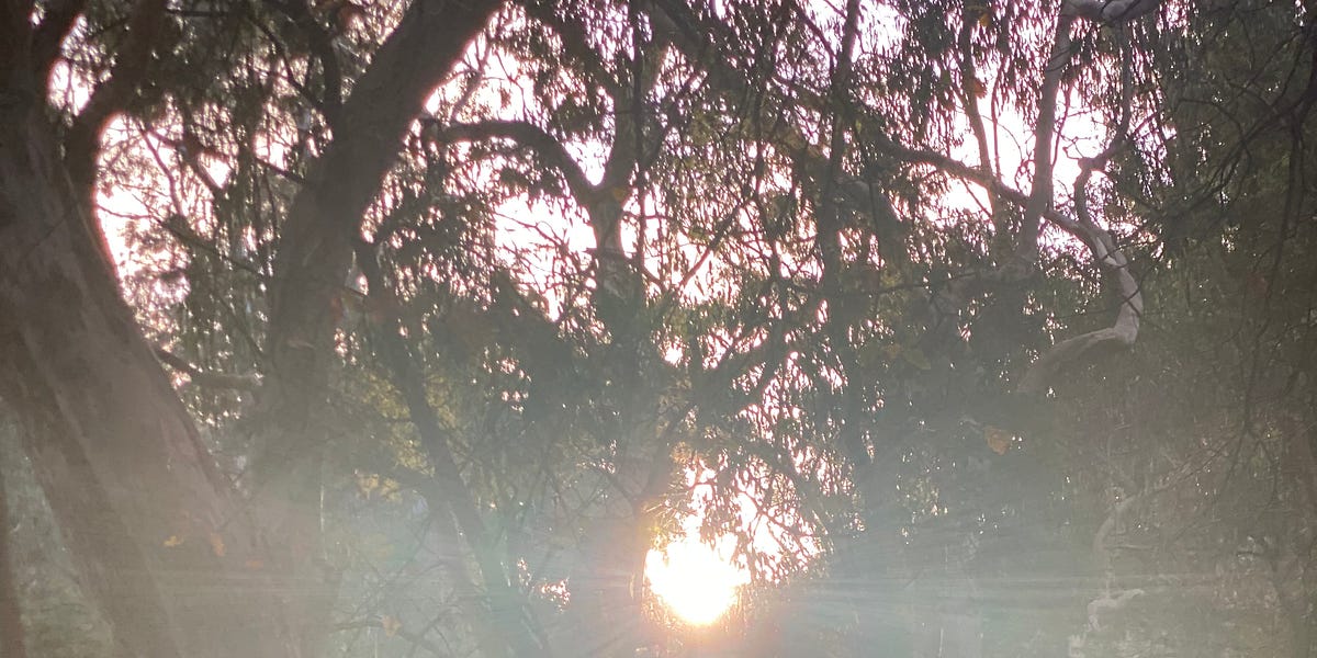 Welcome, welcome - by Double Art - Double’s Substack