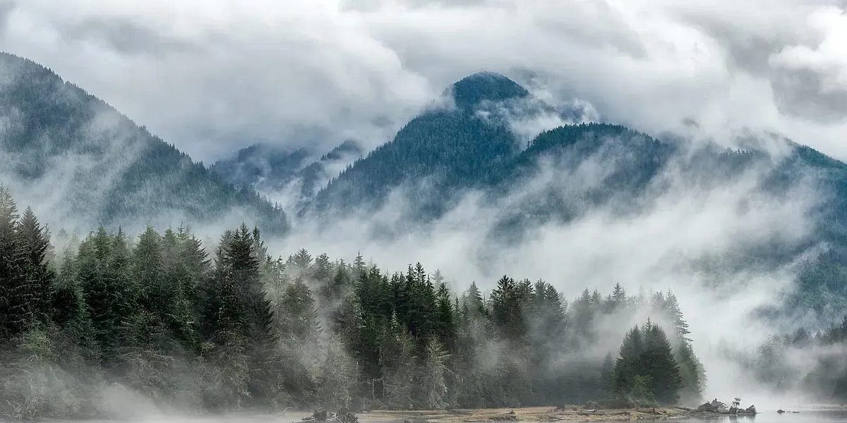 Pure Love - by Robert Ferrell - Contemplative Interbeing