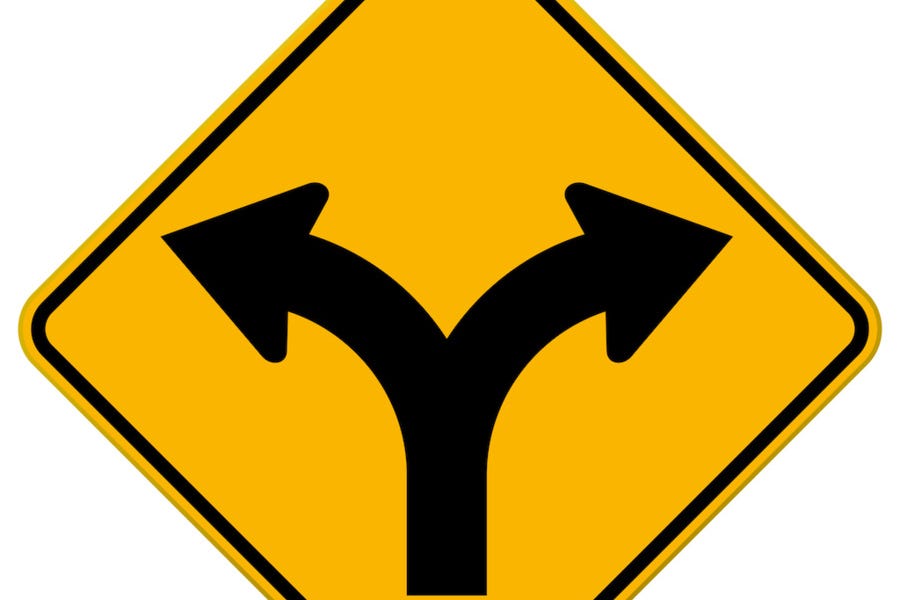 Dr. Toby Rogers: A FORK IN THE ROAD - by Anne Dachel