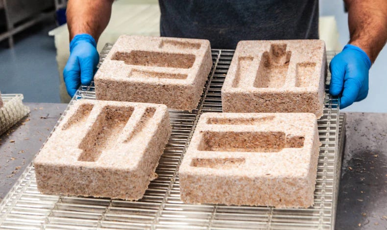 Sustainable Packaging: Can Mushrooms Replace Plastic?