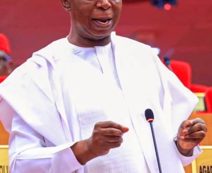 A MASTER GAME PLAYER: Senator Ned Nwoko, The Lion Of Anioma.