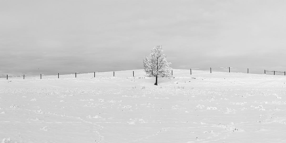 Stayed Behind - Willerby’s Substack