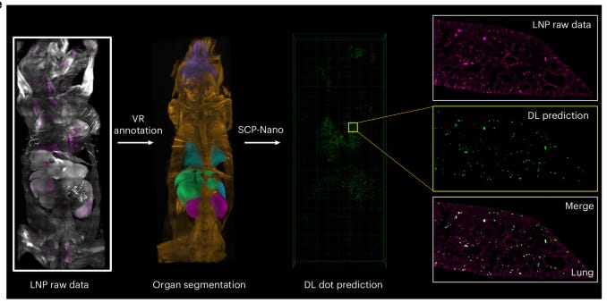 LNP spike mRNA induction of changes in proteins related to vasculature ...