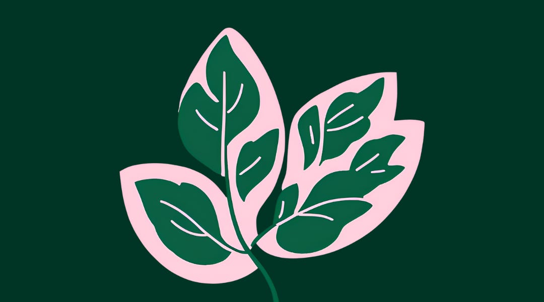 The UN at a Crossroads: Inside the Leaked UN80 Reform Agenda and What ...