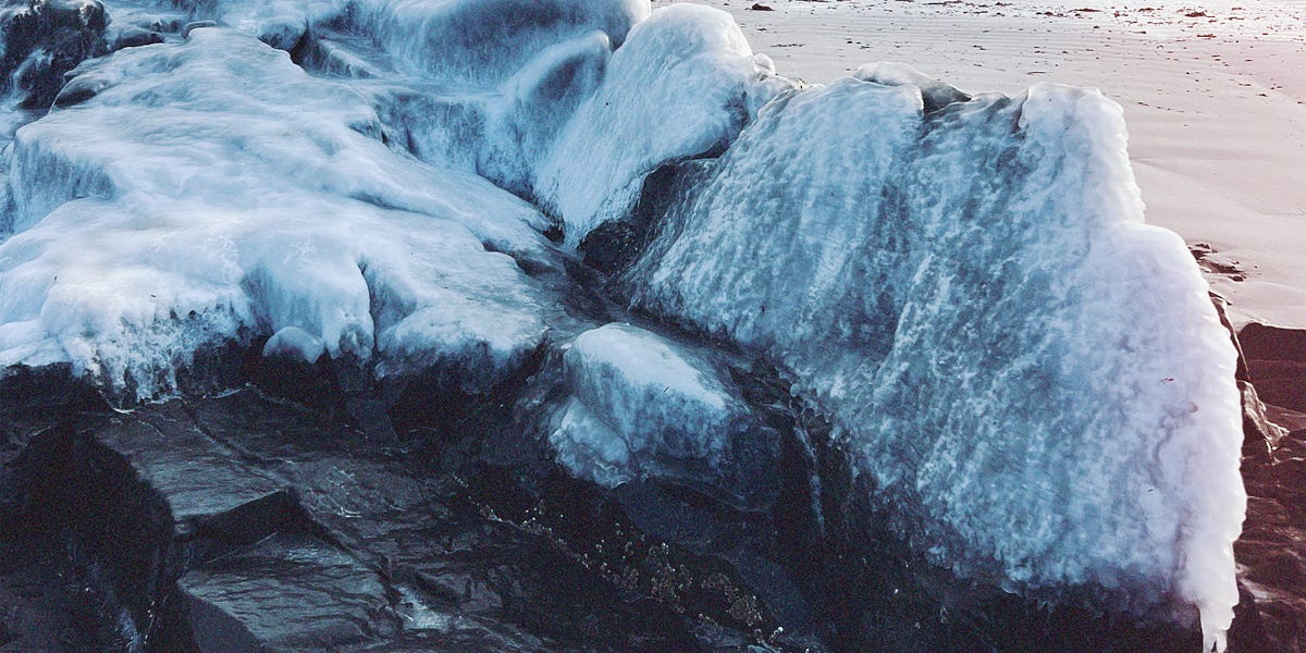 mixtape no. 5: wintering - by Taylor Gage - Rewilding