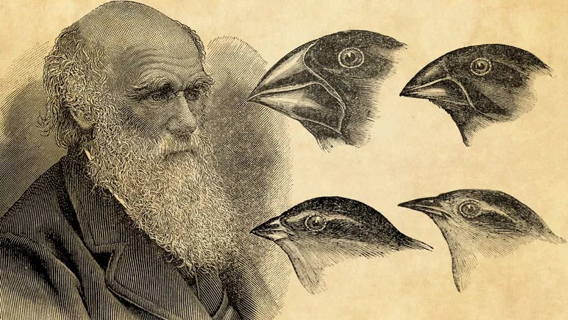 The Case Against Darwinism: A Christian Perspective on Evolution