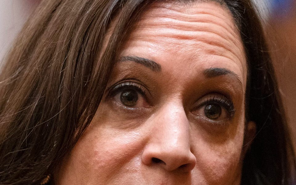 Kamala Can't Win - by Josiah Lippincott - Regime Critic