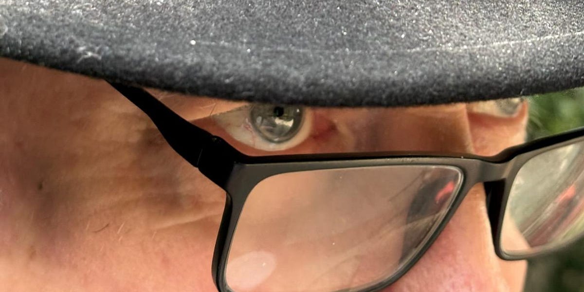 The Bat - by James Scott Bell - Whimsical Wanderings