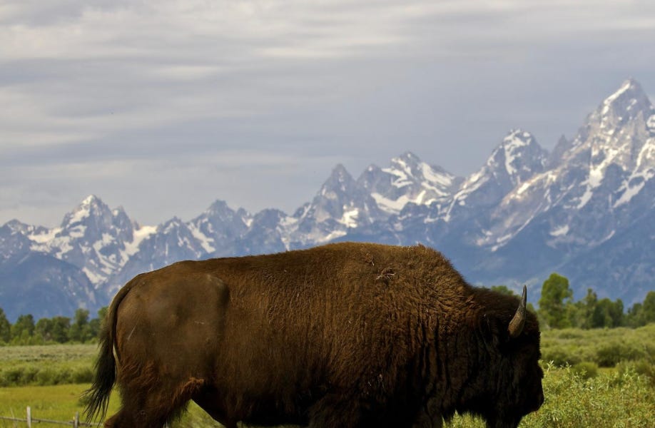 Daily Plan 9.13.24 - by Tic Toc Trading