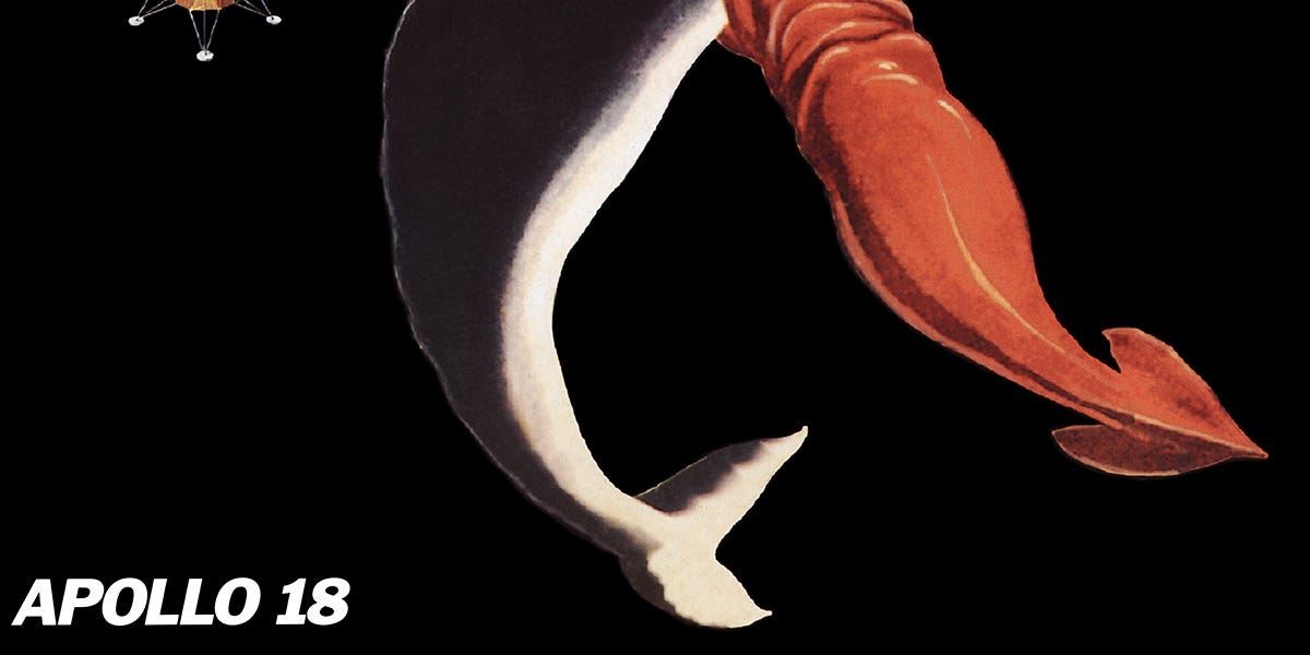 S P I D E R - by Chase Roper - Kiss Me, Son of Blog