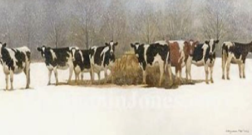 (Grim) News From Rulo - Free Radio Rulo