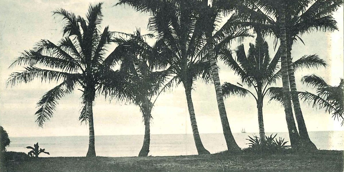 Aloha from Hawai'i - by Stephan Sander-Faes