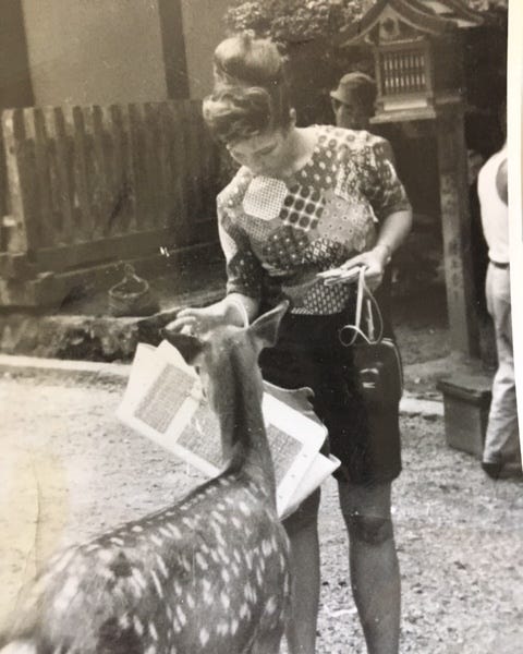 Dear André - by Laurie Stone - Everything is Personal