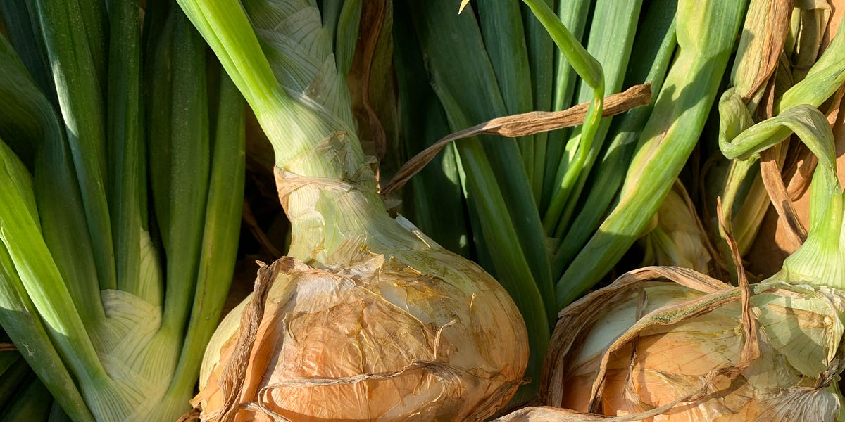 Grits - by Mitch Varnum - Friendly(ish)