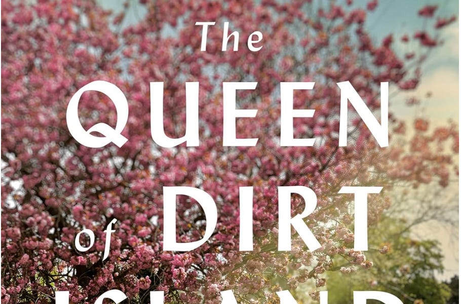 The Queen of Dirt Island - by Barbara Shoup - Book Pilgrim