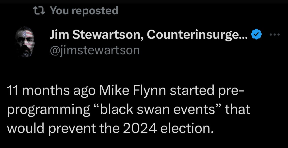 Black Swan Rising - by Heidi Siegmund Cuda