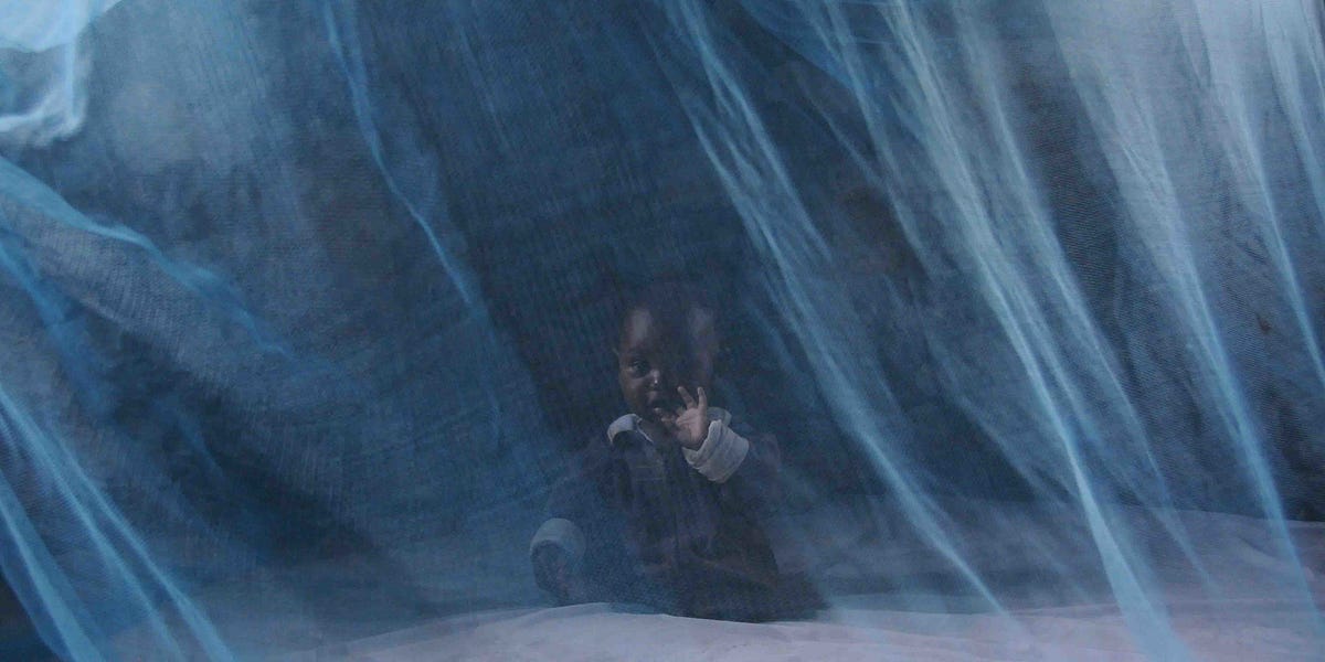 The Human Faces of the USAID Shutdown - by Jim Swift