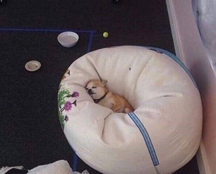 88. The Week in Me - by Tara Giancaspro