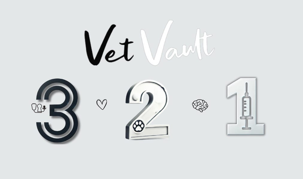 The Vet Vault 3.2.1. - by Hubert Hiemstra - Vet Vault 3-2-1