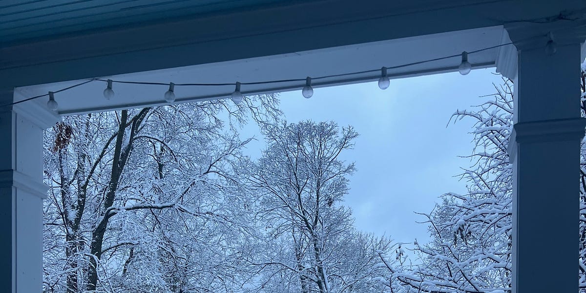 The Announcement - by Sara Burch - Sara’s Substack