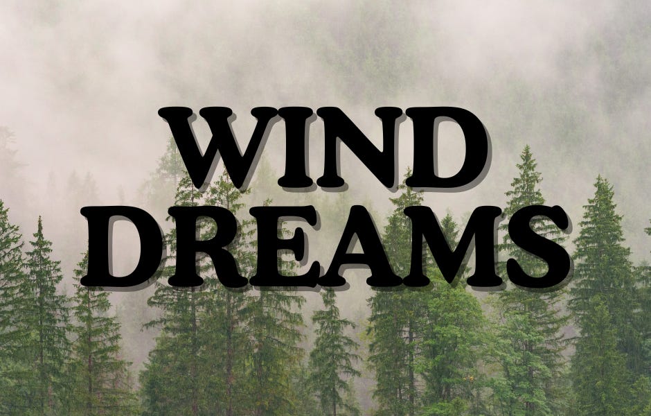 Wind Dreams - by Sam Hval - Treading Through Dreams