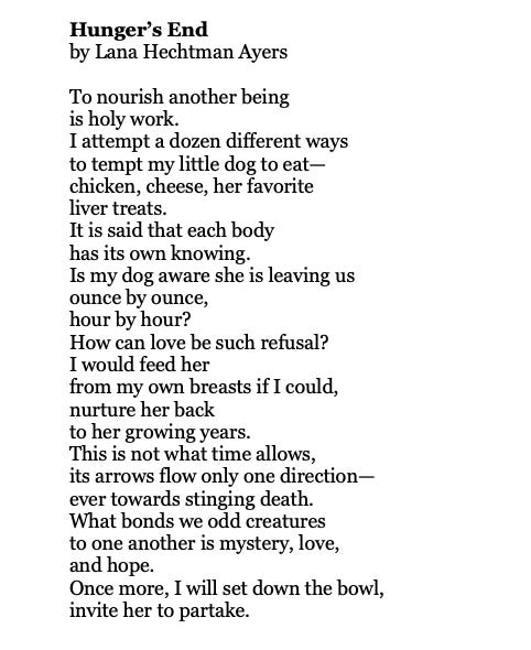 Poems for Your Weekend - by Maya C. Popa - Poetry Today