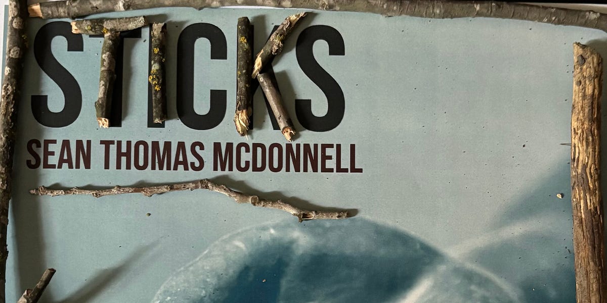Sticks - by Sean Thomas McDonnell - Automatic Writer
