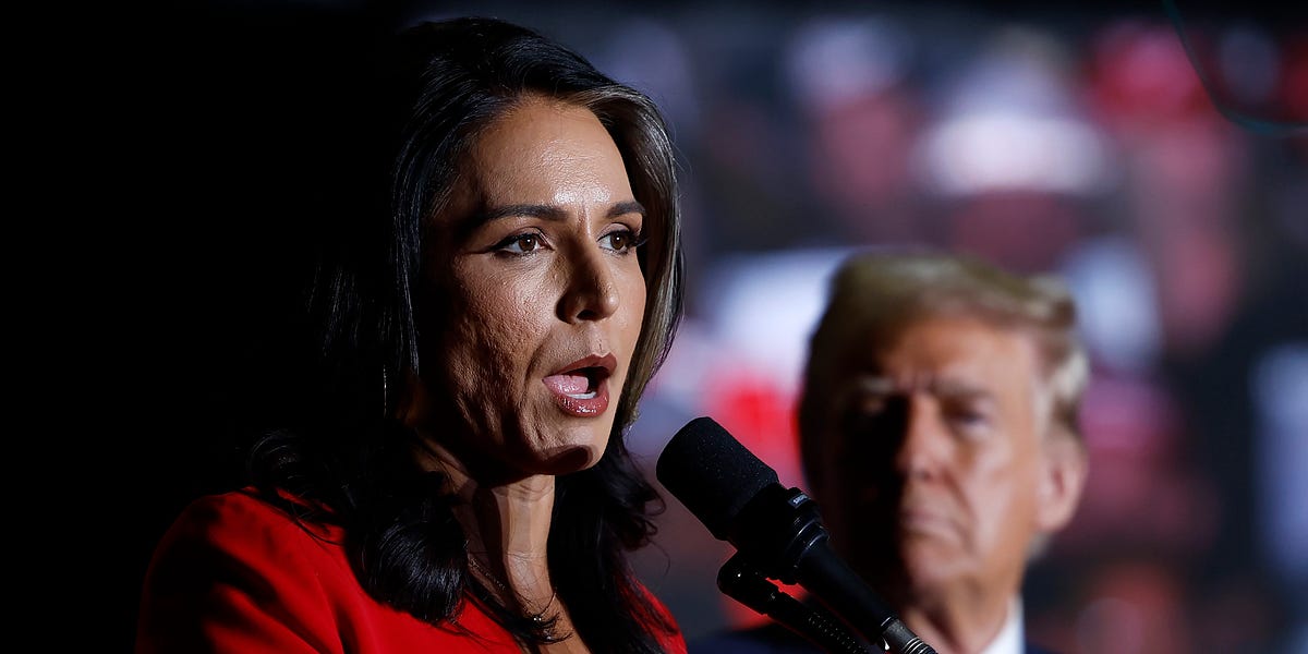 "I Served With Tulsi Gabbard and... Yikes" - by Jim Swift
