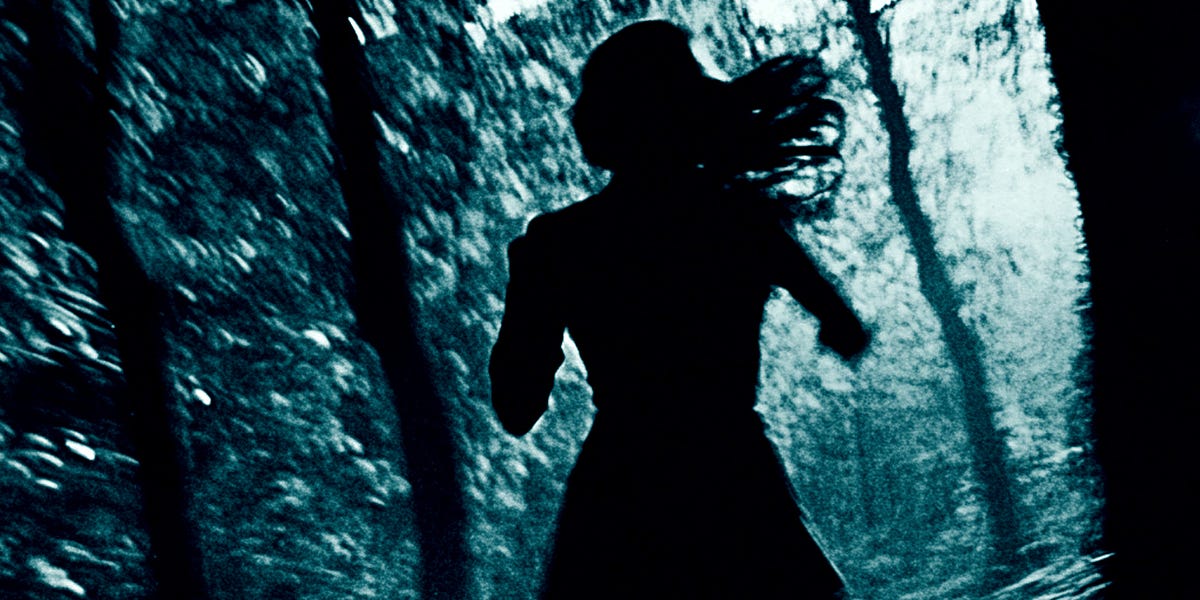 What happened in the woods? - 34MAG | 34THPARALLEL.NET