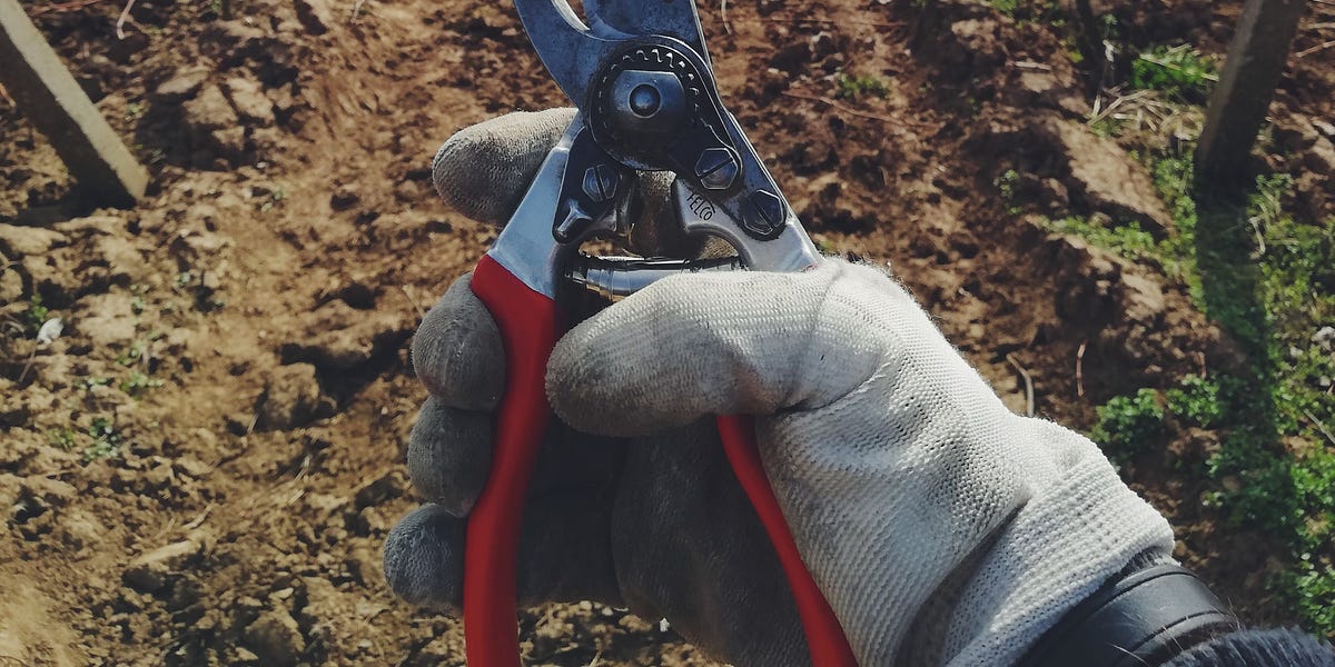 #30 Pruning vs Quantization. Final showdown!