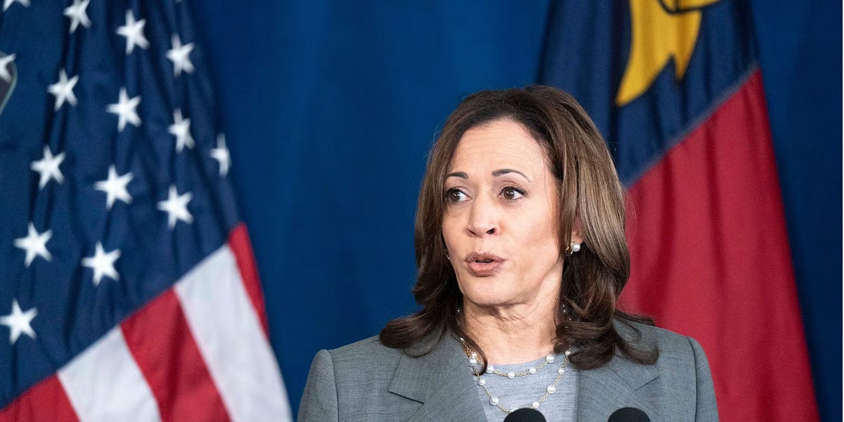 Kamala 2024 - by Destiny Patterson - Let It Simmer
