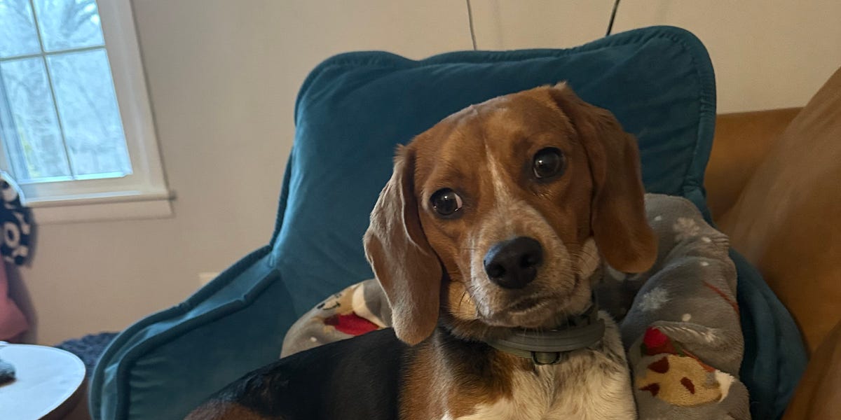 The Poem - Boo Pfeiffer’s WTF