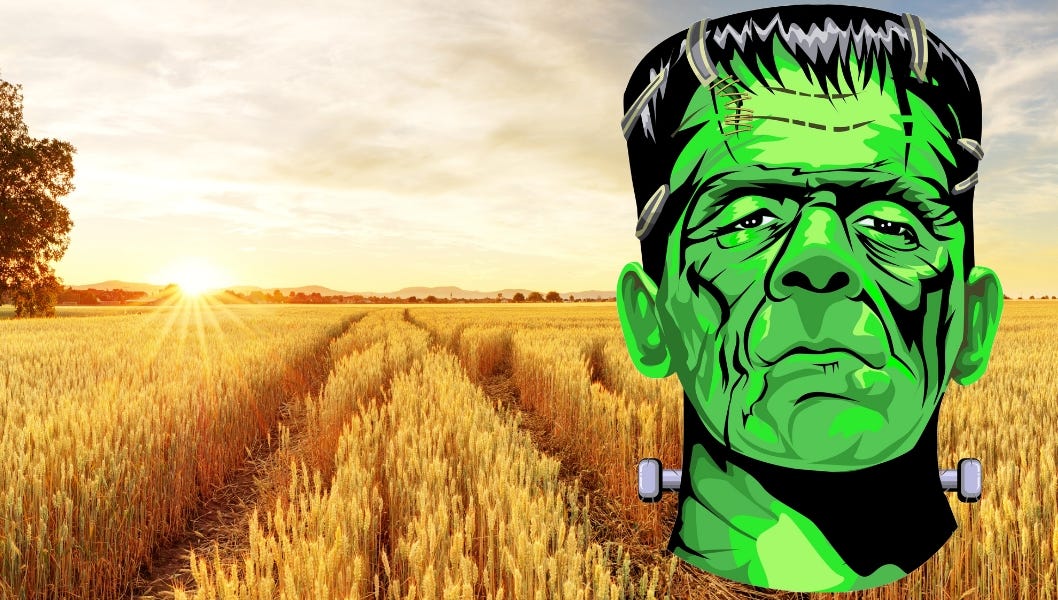 The Frankenstein Food - by George Parker