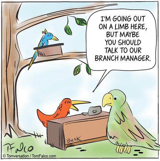 Animals and inanimate objects - Tomversation