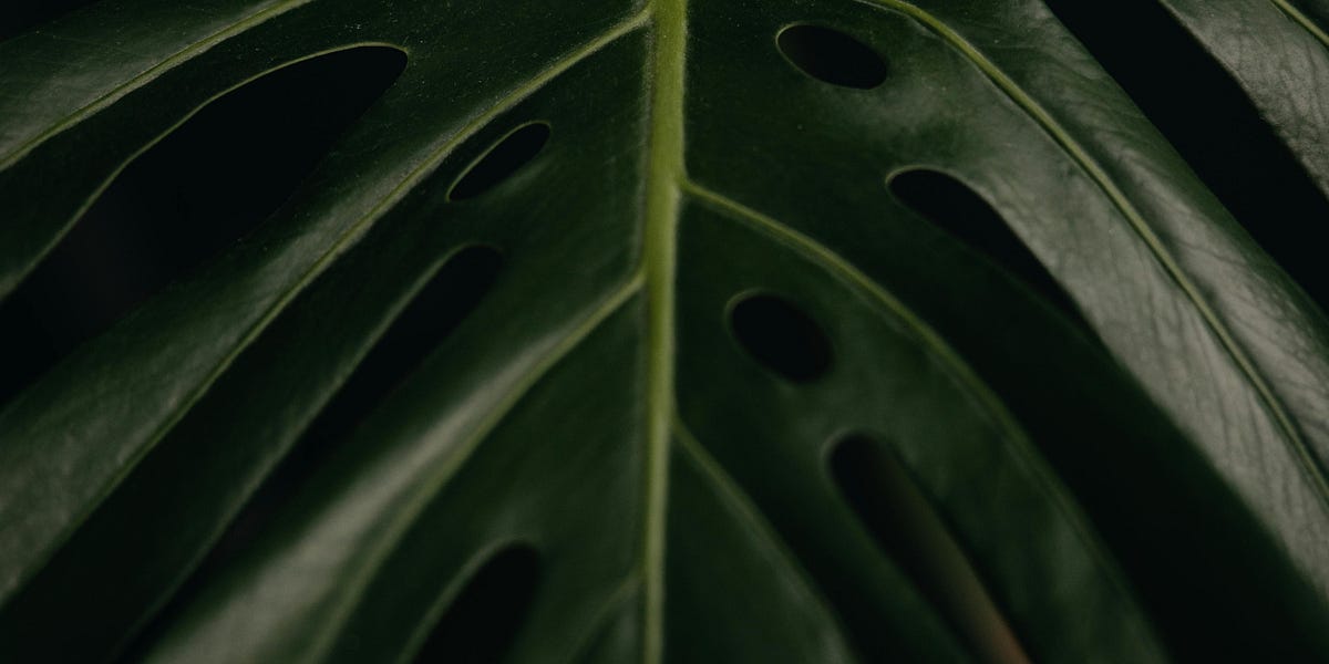 How to Connect Back to Self When You Feel Disconnected and Unfocused