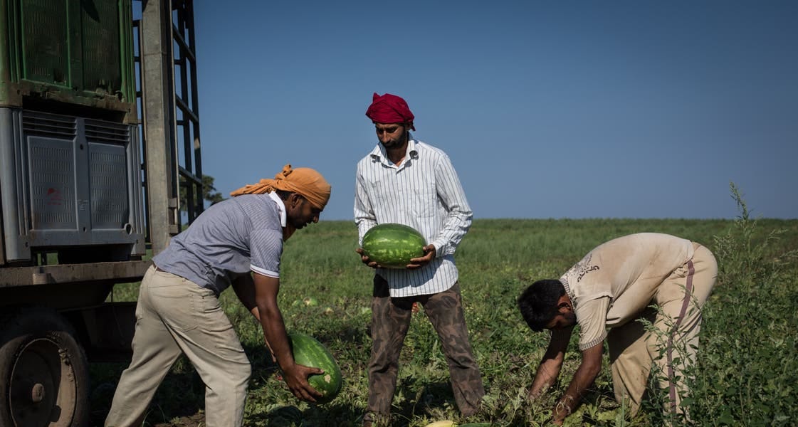 Italy's Secret Slavery - Brown History