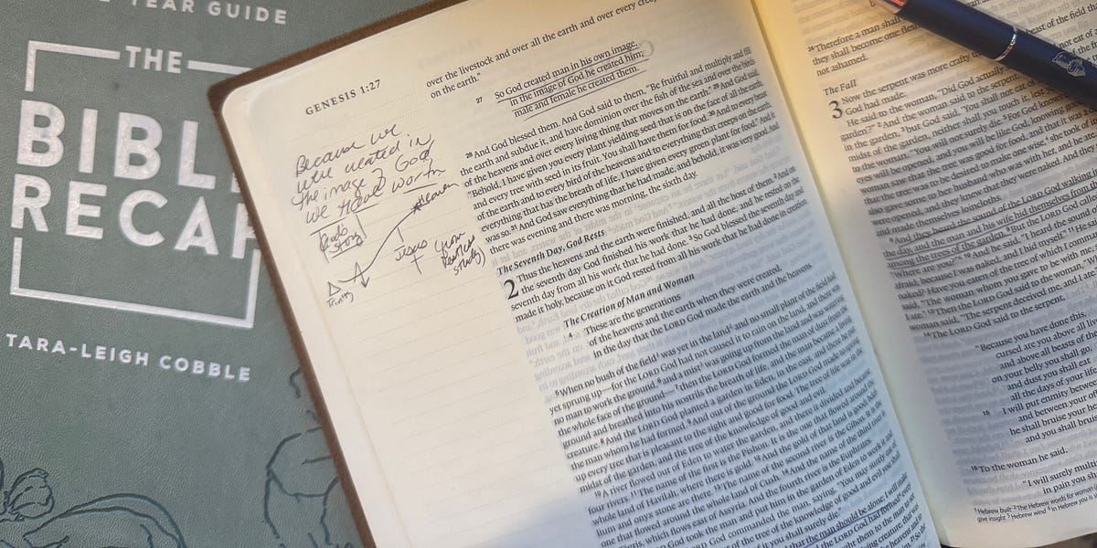 Comments - Settling In... - by Meredith Bernard