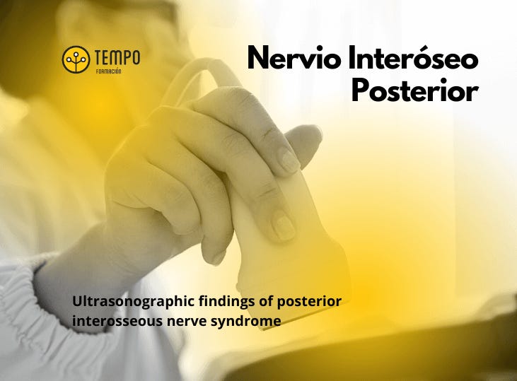 Nervio interóseo posterior - by Tempo Formación