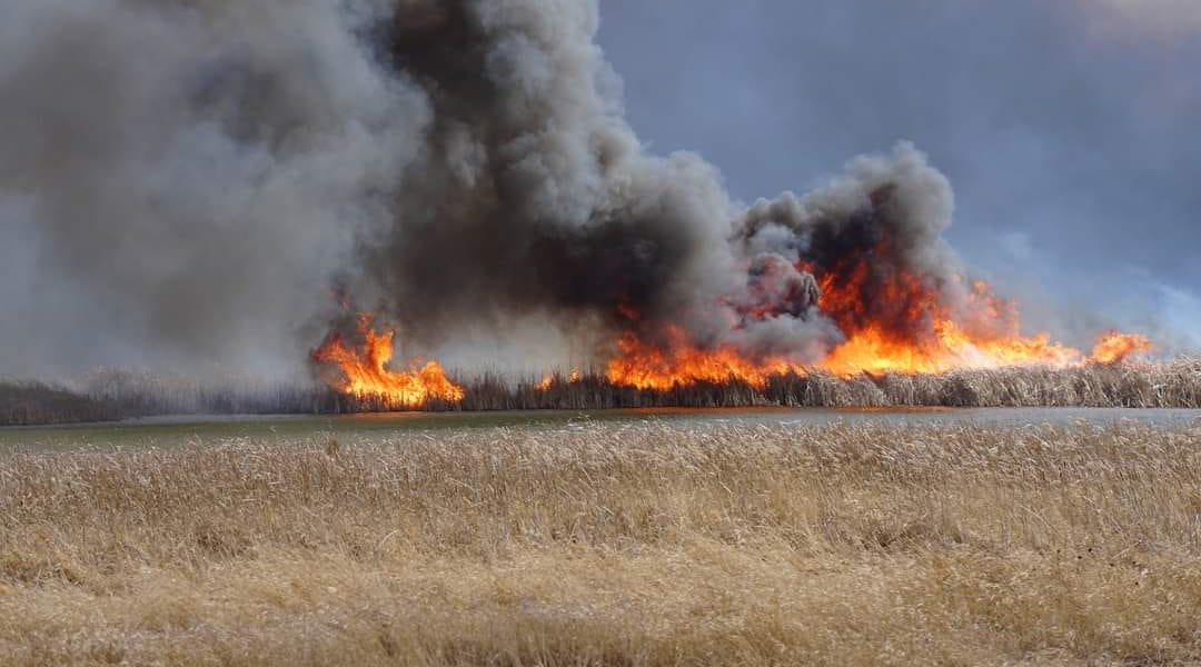 Monday Update On Hiring And Prescribed Fire Freeze.